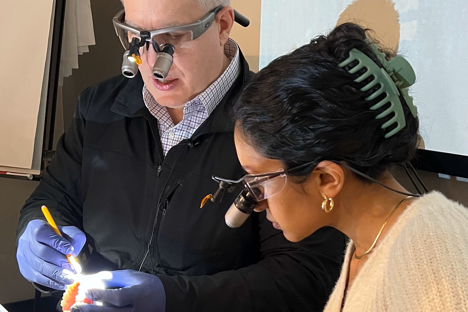 Master Cosmetic Dentistry: Direct & Indirect Techniques - Cosmedent